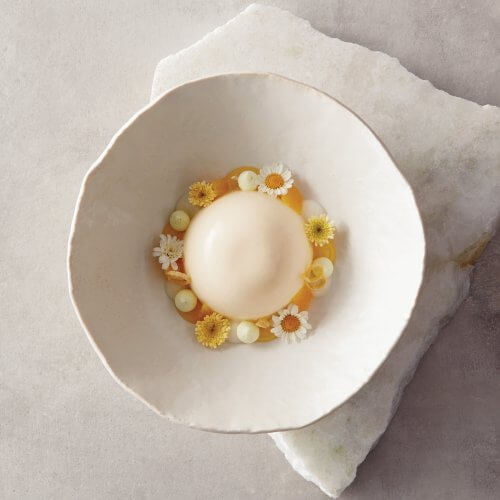 Citrus Semifreddo with Lemon Curd and Coconut Lime Yogurt - Elle Gourmet
