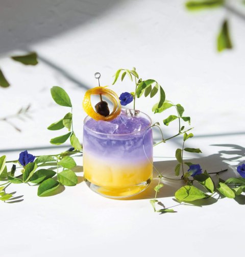 Butterfly Pea and Passionfruit Gin Cocktail - Elle Gourmet
