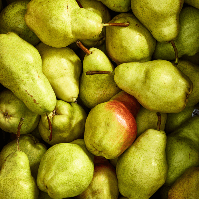 Juicy, ripe pears add magic to holiday recipes - Elle Gourmet