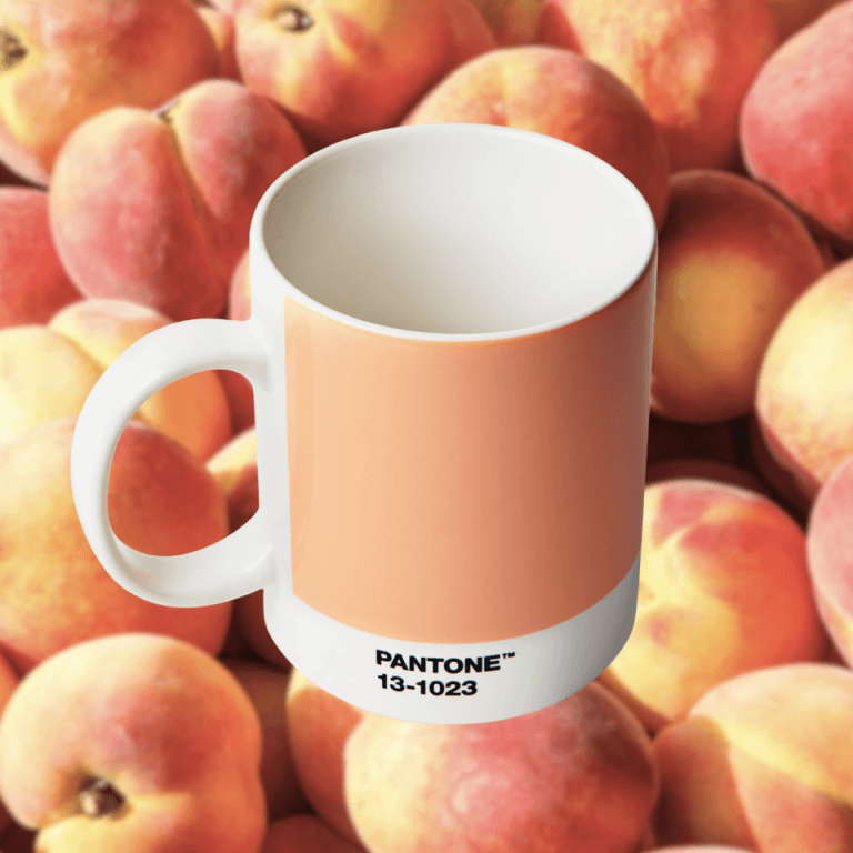 Peach Fuzz is Pantone's 2024 Colour of the Year - Elle Gourmet