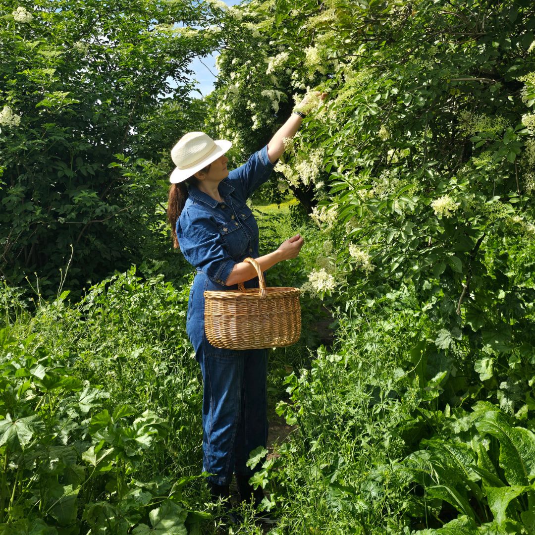 St-Germain Elderflower Liqueur: History of This Iconic Floral Spirit
